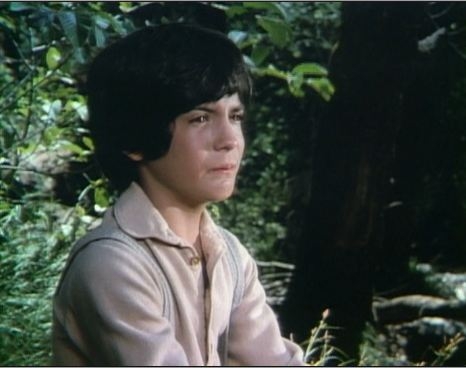 Albert Quinn Ingalls : personnage de la série | La petite Maison dans ...