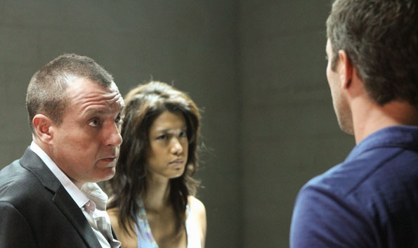 Vincent Fryer : personnage de la série | Hawaii 5-0