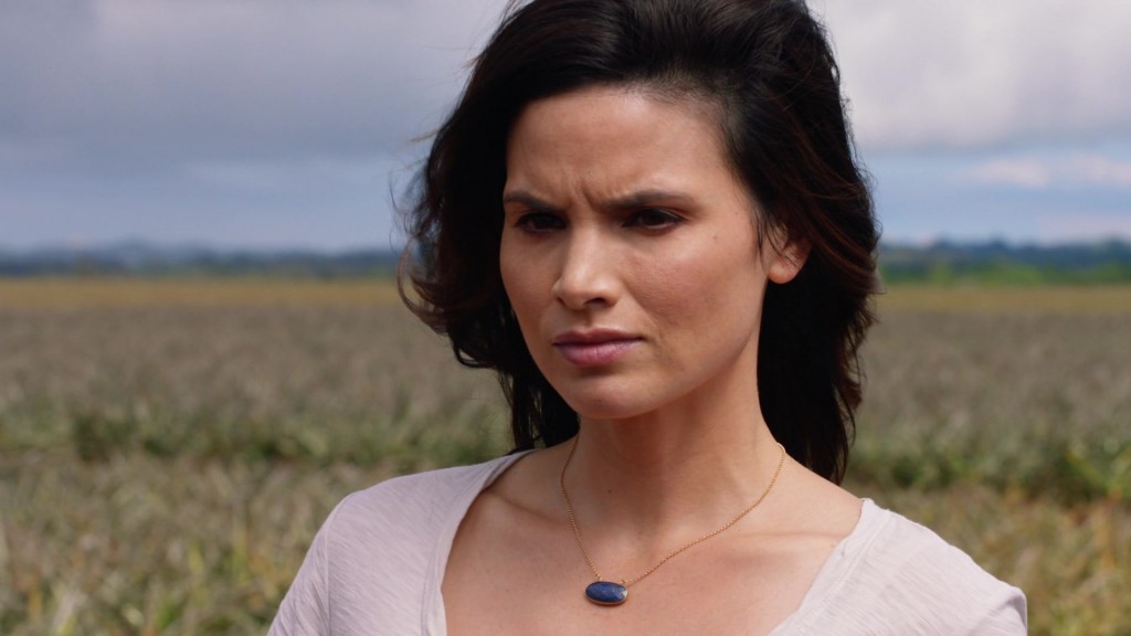 Quinn Liu : personnage de la série | Hawaii 5-0
