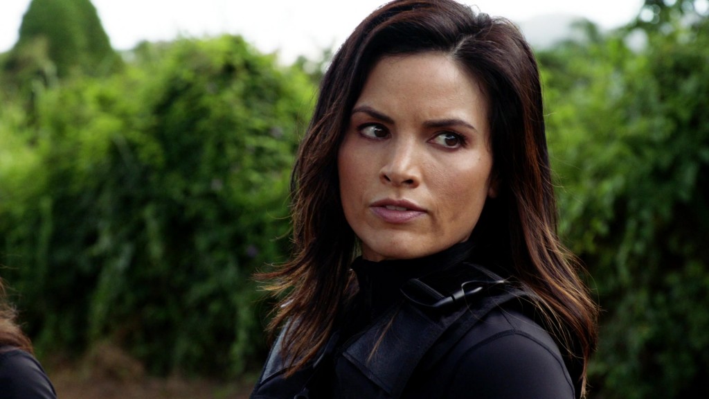 Quinn Liu : personnage de la série | Hawaii 5-0