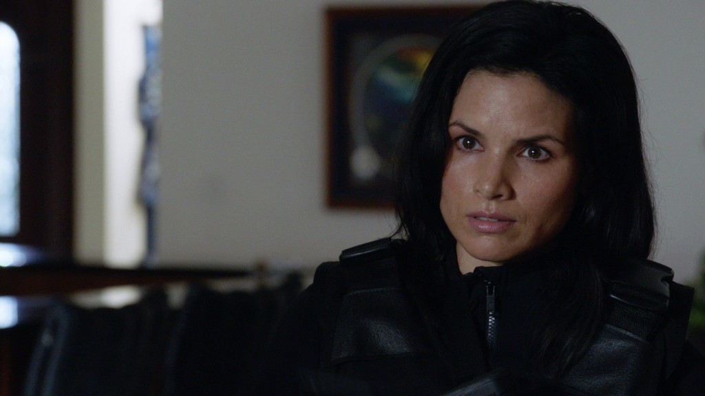 Quinn Liu : personnage de la série | Hawaii 5-0