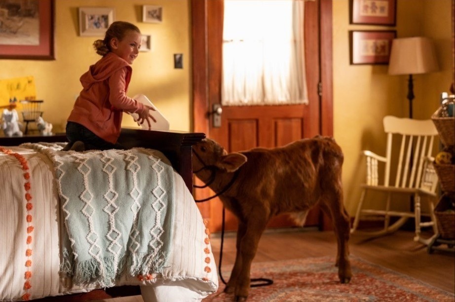 Lyndy Borden : personnage de la série | Heartland
