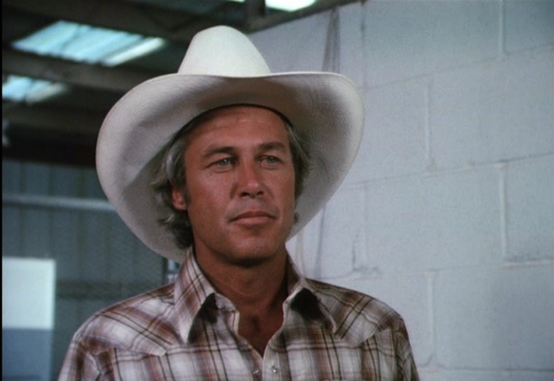 Ray Krebbs - 1978 : personnage de la série | Dallas (2012) | Dallas (1978)
